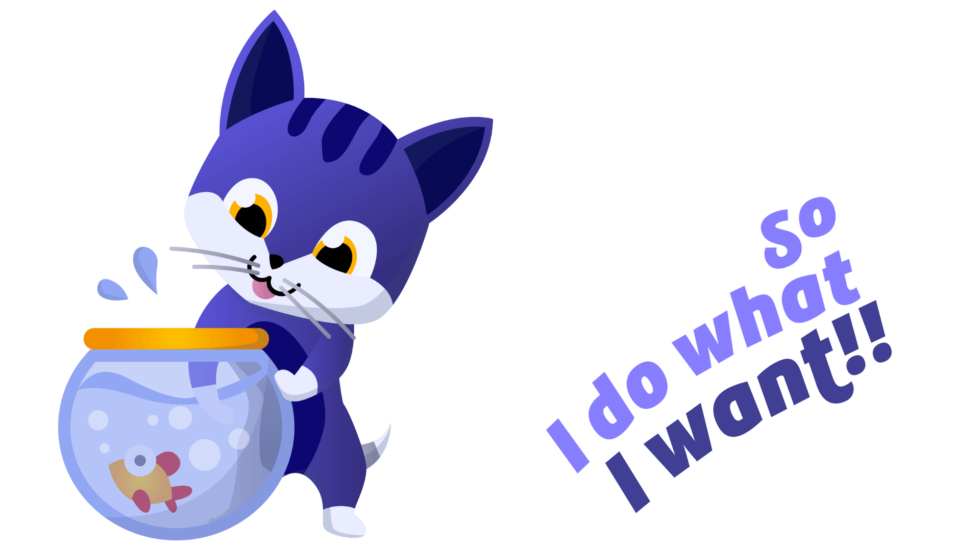 Beransa Osteoarthritis (OA) Injection - My Vet Animal Hospital