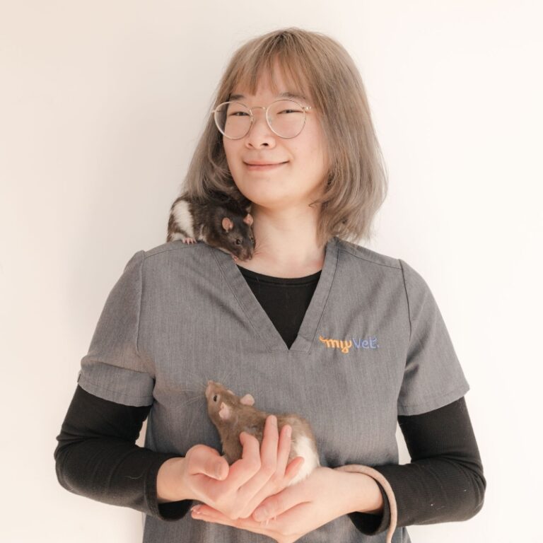 Veterinarian in Zetland, NSW - My Vet Animal Hospital